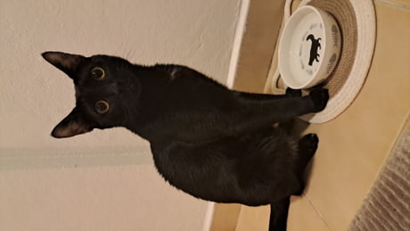 Best Funny its maam Memes - 9GAG