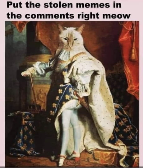 Best Funny funny cat Memes - 9GAG