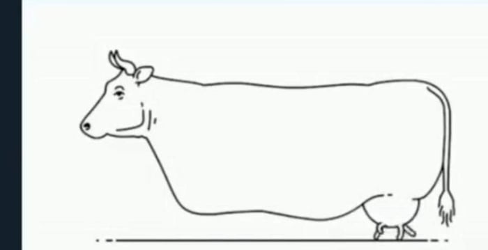 1st rule of programming: If it works don't touch it. - 9GAG