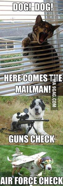 Roger that, cat - 9GAG