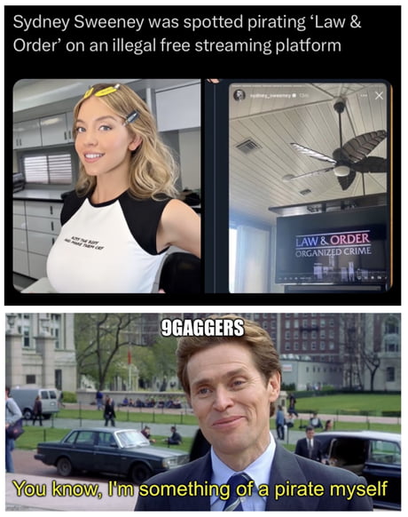 Best Funny sydney sweeney Memes - 9GAG