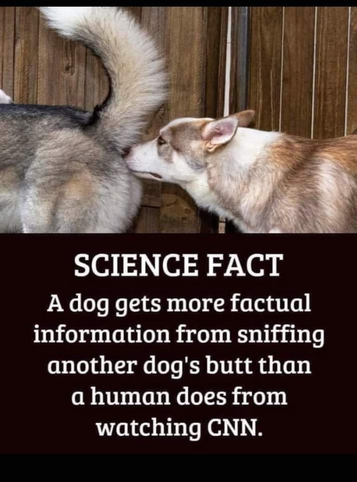 It's science time guys - 9GAG