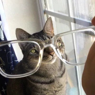 Posting random old shit #9 - 9GAG