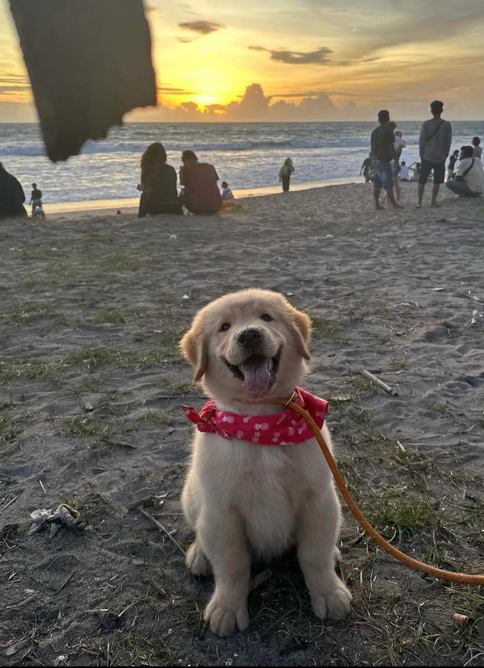 The time we spend at the beach is the most fun for me - 9GAG