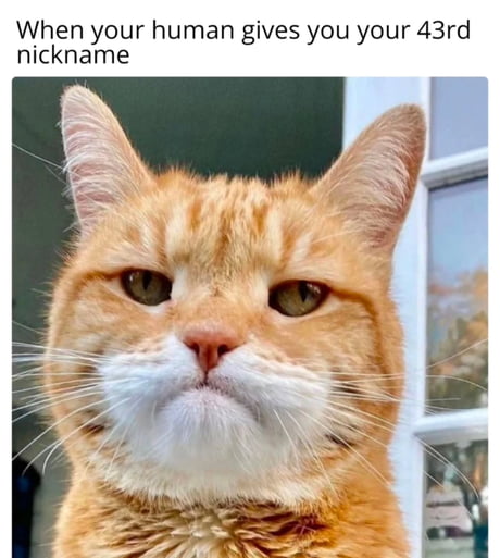 Best Funny lips Memes - 9GAG