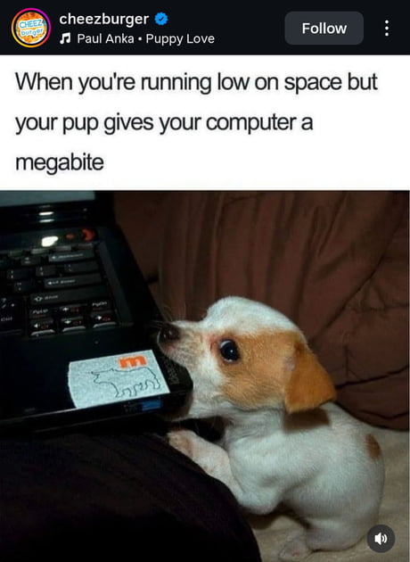 Best Funny bite Memes - 9GAG