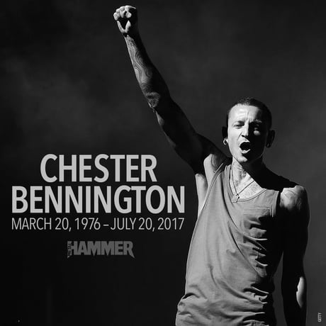 Memes Chester