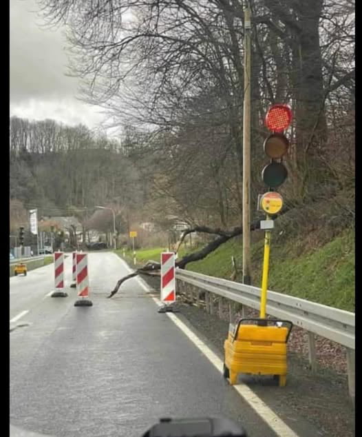 Germany explained in one picture - 9GAG