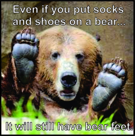 Meme Bear Necessities