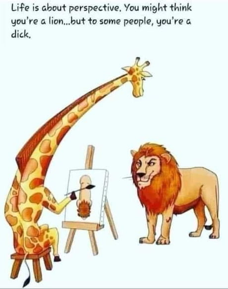 Best Funny lion Memes - 9GAG
