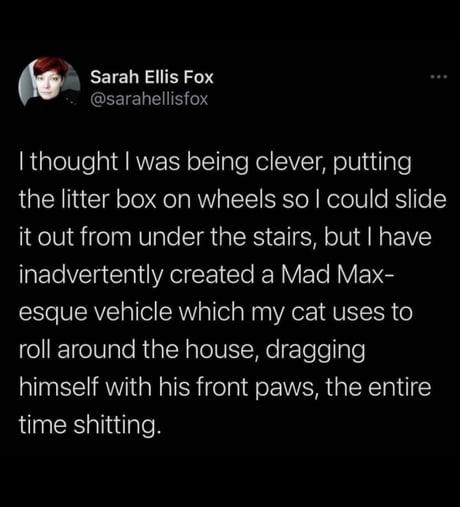 Best Funny litter box fails Memes - 9GAG