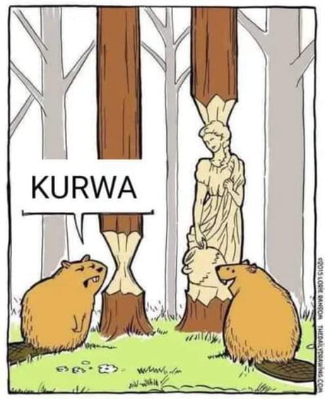 Best Funny bobr kurwa Memes - 9GAG