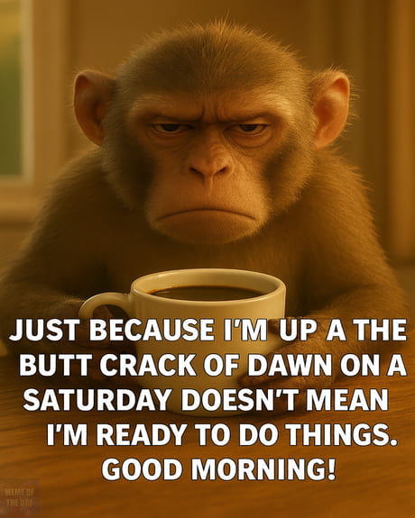 Good Morning Monkey Memes