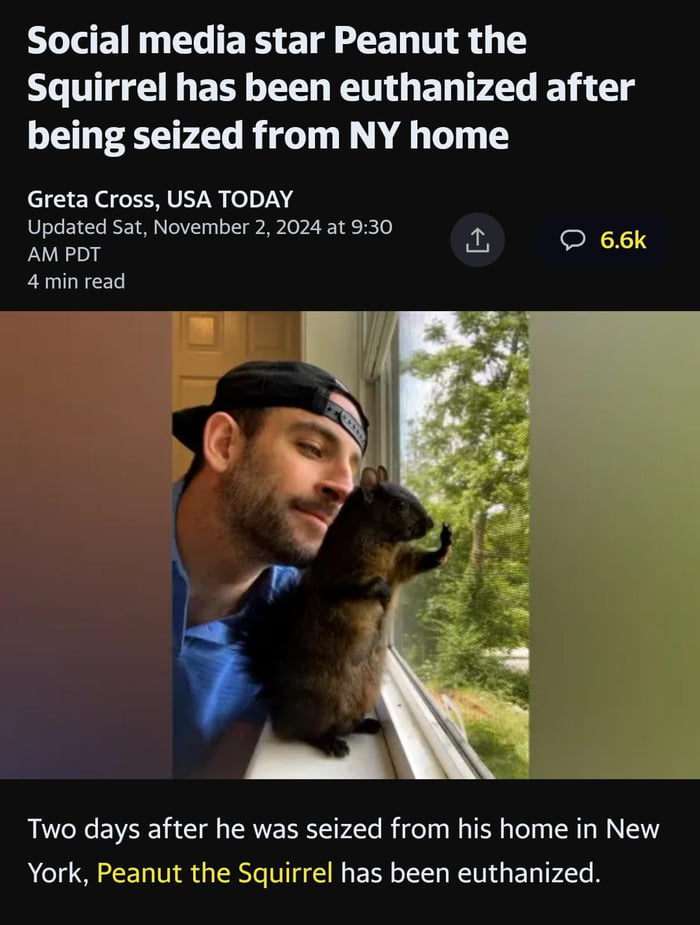 They Sacraficed the Squirrel out of pure spite! - 9GAG