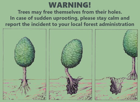 Best Funny tree Memes - 9GAG