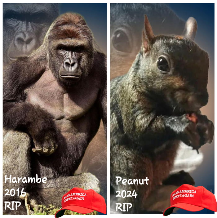 I'm starting to see a pattern. - 9GAG