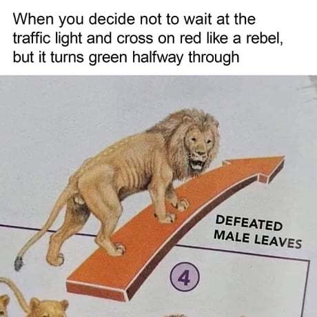 Best Funny defeated Memes - 9GAG