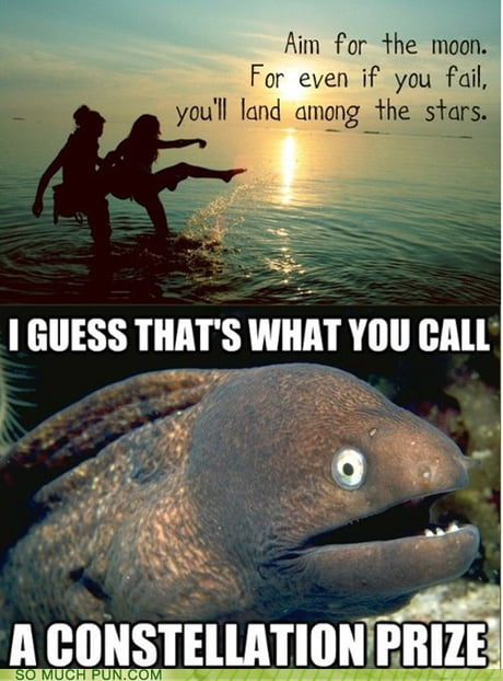 Bad Pun Eel