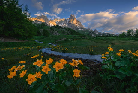 Best Funny alps Memes - 9GAG