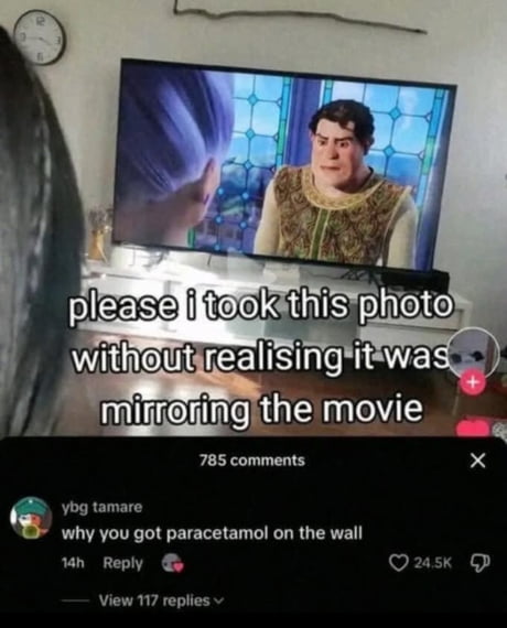 Best Funny mirror Memes - 9GAG