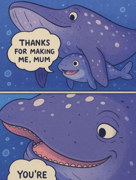 Best Funny whale Memes - 9GAG