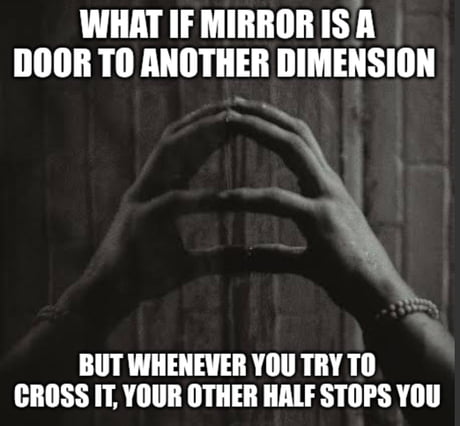 Mirror Reflection Memes