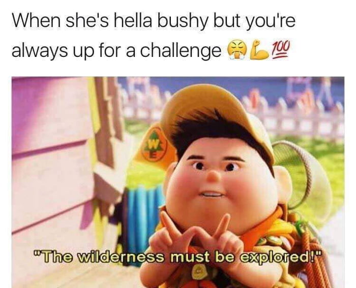 The wilderness must be explored - 9GAG