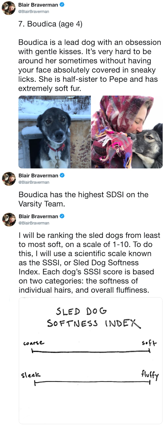 Musher Introduces Her 20 Sled Dogs With Colorful Personalities - 9GAG