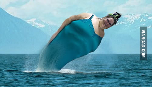 Googled fat whale. Was not disappointed - 9GAG