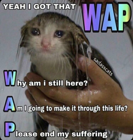 Memes Wap WAP 😻 Birthday Card