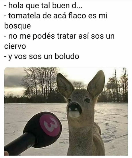 Memes De Boludas Los Mejores Memes NFL De La Ronda Wild Card