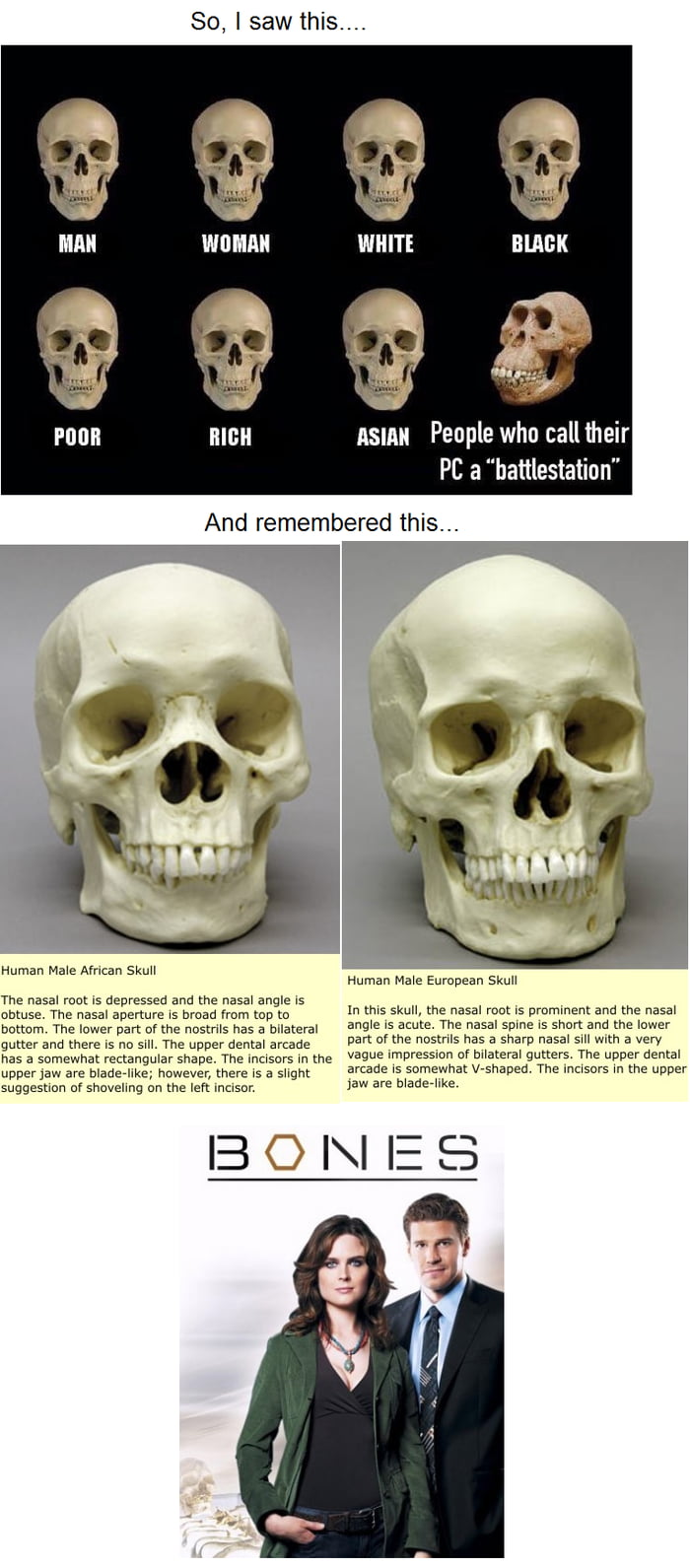 There's also distinction between those and an "Asian" skull. - 9GAG