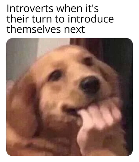 Me anytime when I should work/sleep - 9GAG