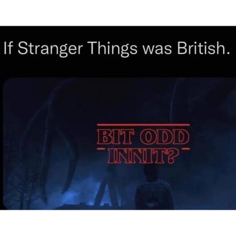 15+ Memes That Only Stranger Things Lovers Will Understand