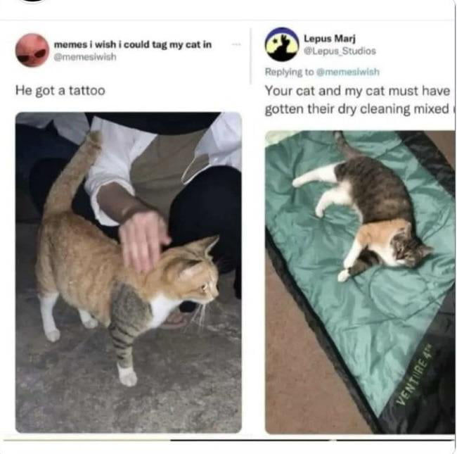 A perfect swap - 9GAG