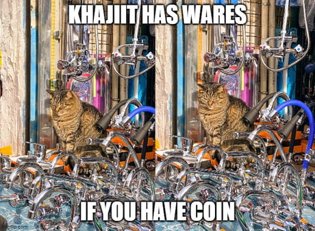 Best Funny khajiit Memes - 9GAG