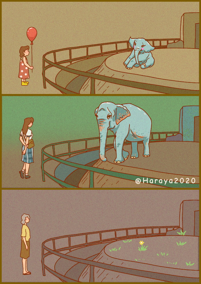 RIP Mali - the only Elephant in the Philippines - 9GAG