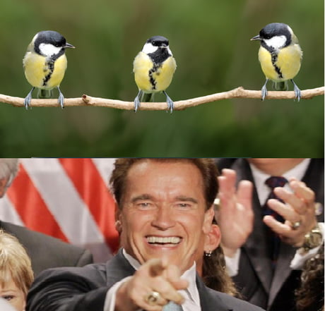 Best Funny mars Memes - 9GAG