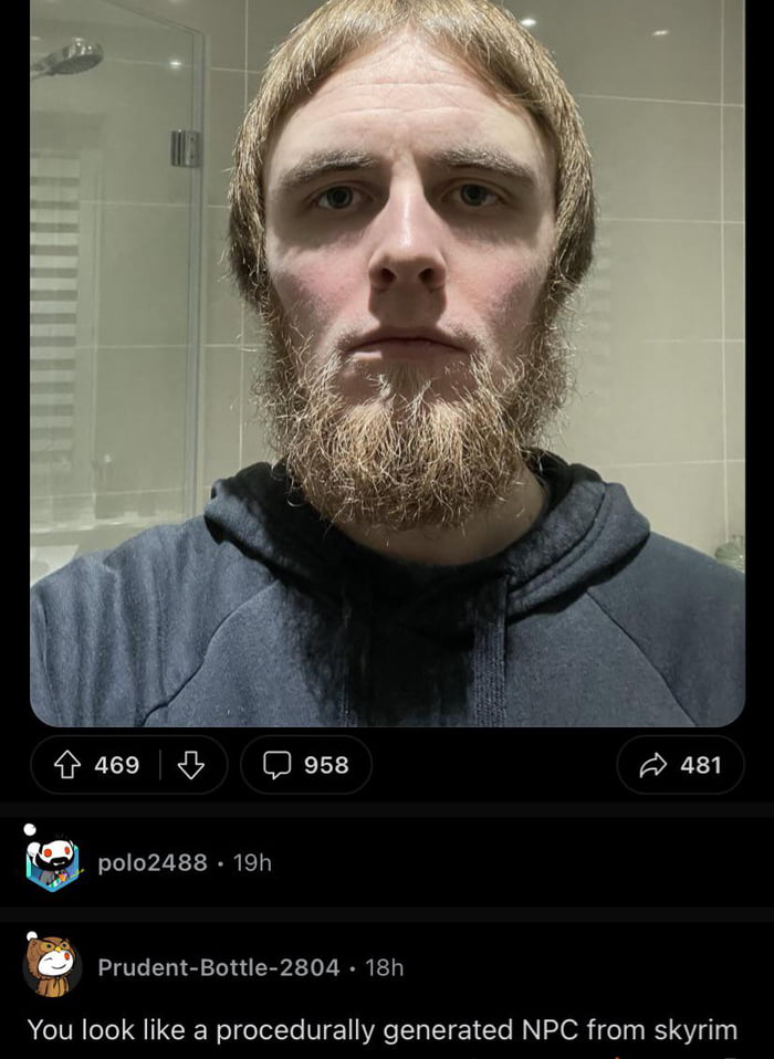 Procedurally generated Skyrim NPC - 9GAG