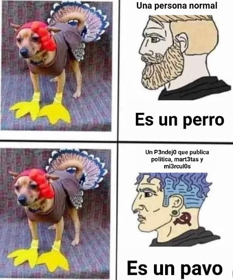 Best Funny español Memes - 9GAG