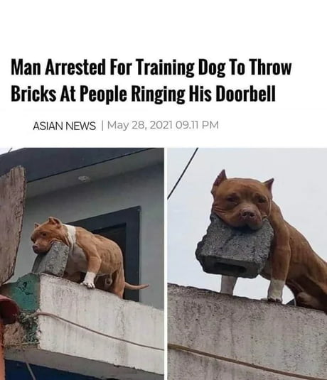 Best Funny stone Memes - 9GAG