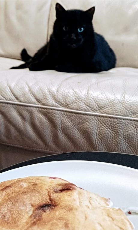 Best Funny kebab Memes - 9GAG