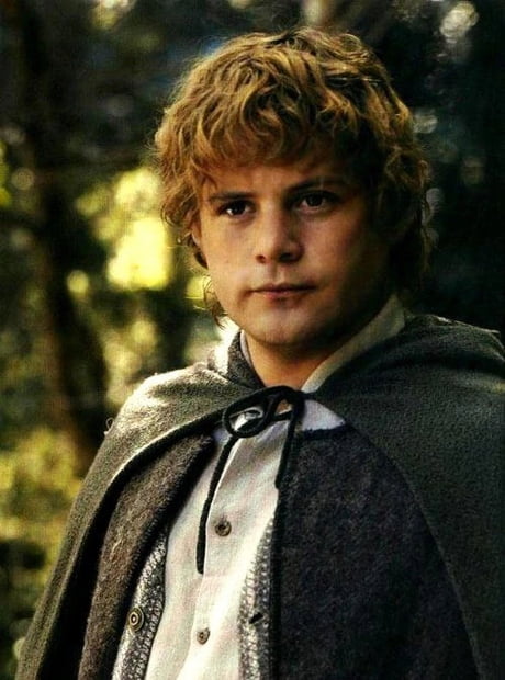 Samwise Meme