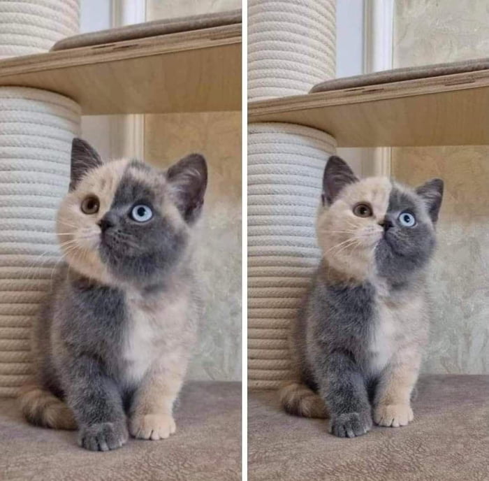 That’s cute - 9GAG