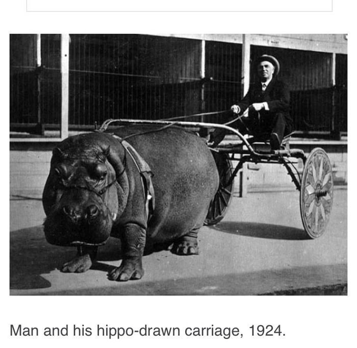 what-do-you-know-about-showing-off-9gag