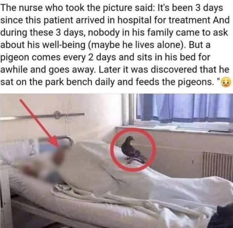 A woman asks her grandma to draw her - 9GAG