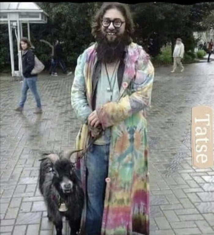 My hobbies are LSD and rescuing stray dogs - 9GAG