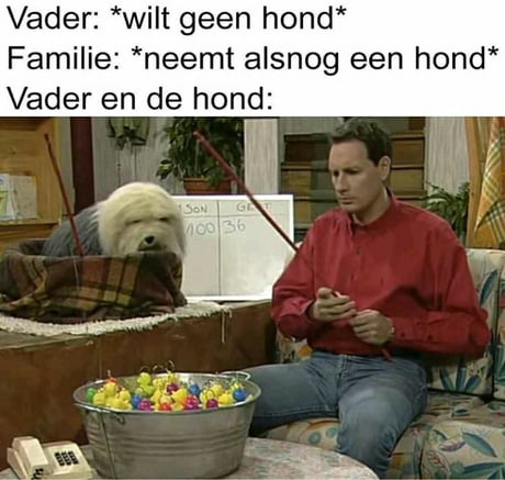 Gert Memes Photo Posted By Gert Müller (@noch_geheim_bis_morgen)