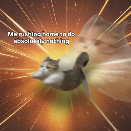 Best Funny nothing Memes - 9GAG