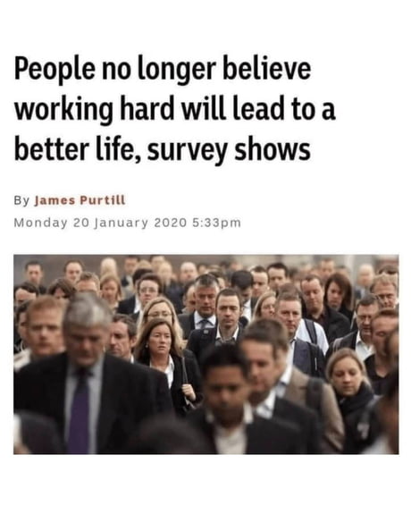 Best Funny survey Memes - 9GAG